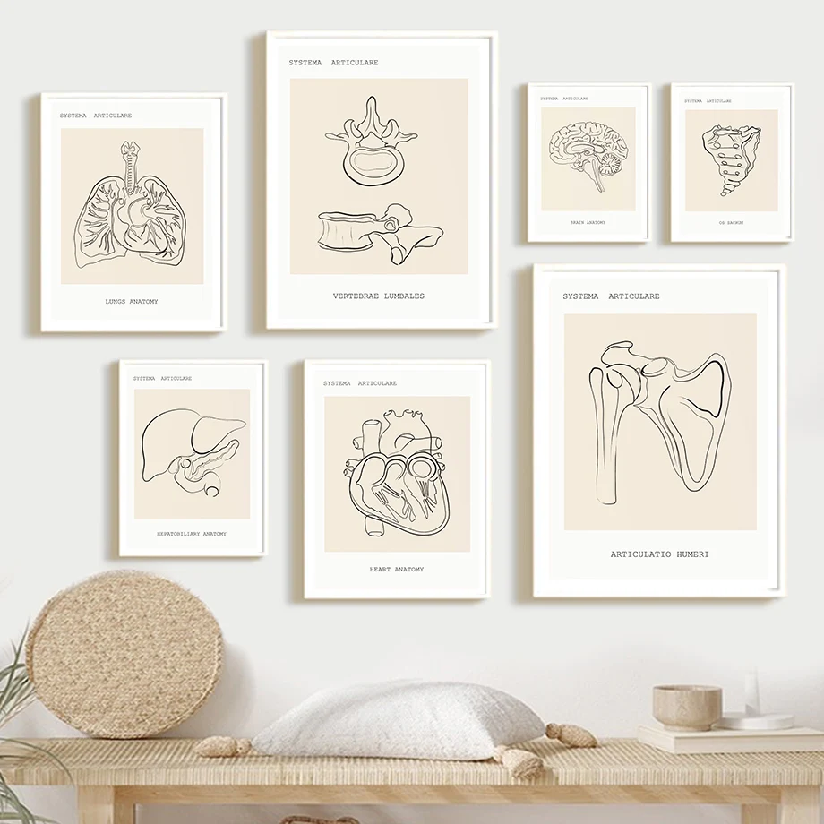 Heart-Brain-Lungs-Spine-Skeletal-Neck-Organ-Anatomy-Wall-Art-Canvas ...