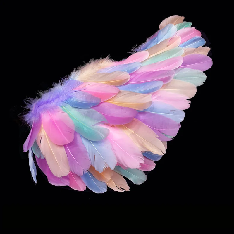 Rainbow Feather Wings