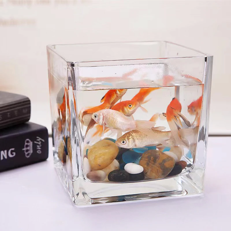 Simple-Thickened-Square-Hydroponic-Glass-Flower-Pot-Transparent-Wase ...