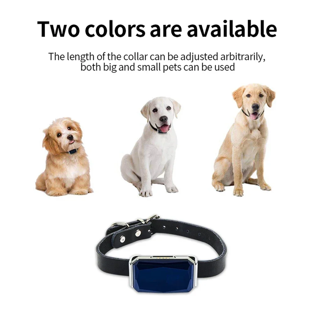 S0f97361a164a4660b2504e2a981d8cdcV.jpg
