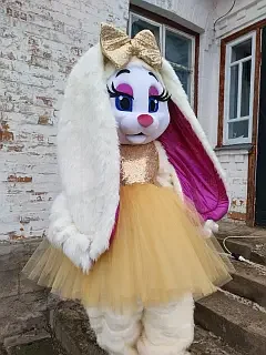 S0fa58730d3ee4f07821afa95acebf44bp.jpg