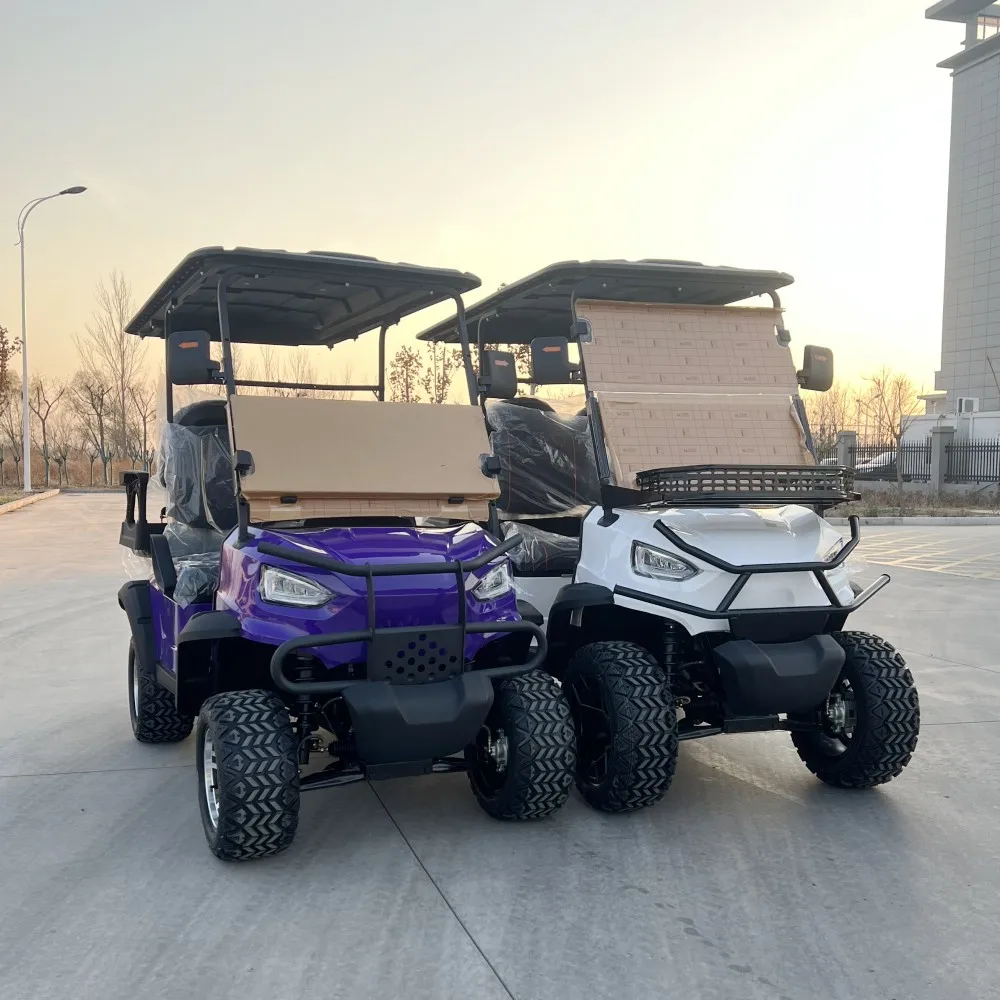 High-Quality-4000W-60V-Long-Range-Electric-Golf-Cart-14-Inch-Off-Road ...