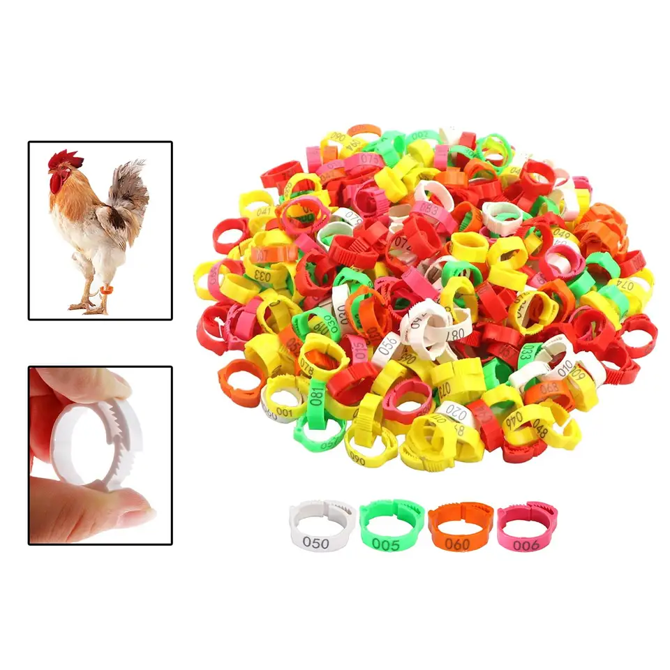 Bird Identification Rings 100-Piece Poultry Leg Bands - Chicken ...