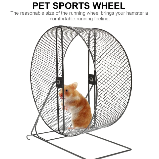 Dwarf Hamster Running On Wheel