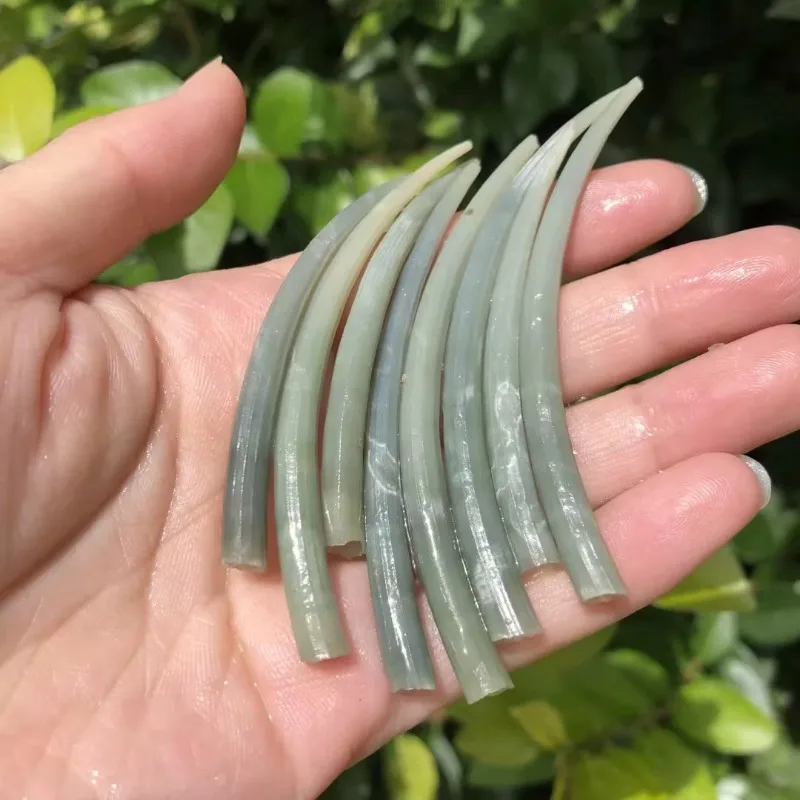 Natural-Shell-Conch-Green-Specimen-Conch-Fish-Tank-Aquatic-Landscape ...