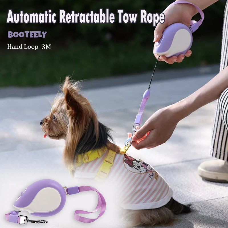 Booteely 3M Leash For Small Dogs Auto Retractable Leash, Hand Loop ...