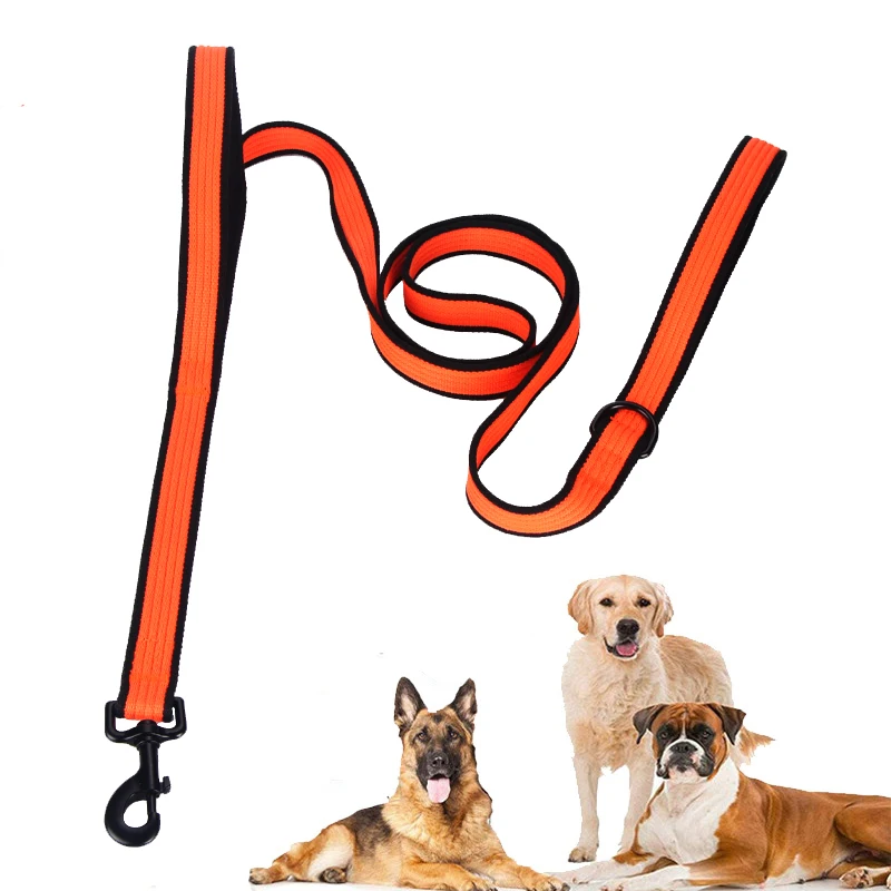 Long-Traffic-Padded-Two-Handle-Heavy-Duty-Double-Handle-Nylon-Dog-Leash ...