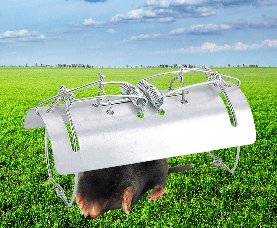 1 Or 2pcs Big Mouse Trap, Weasel Catch，catch Spring Trapt，mous Trap ...