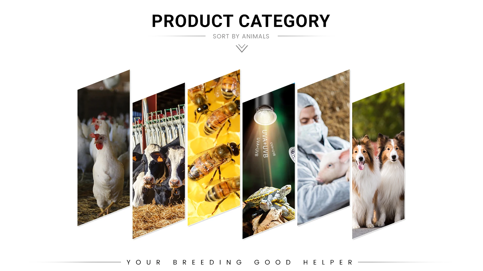 Eco Farm Store - Amazing products with exclusive discounts on AliExpress