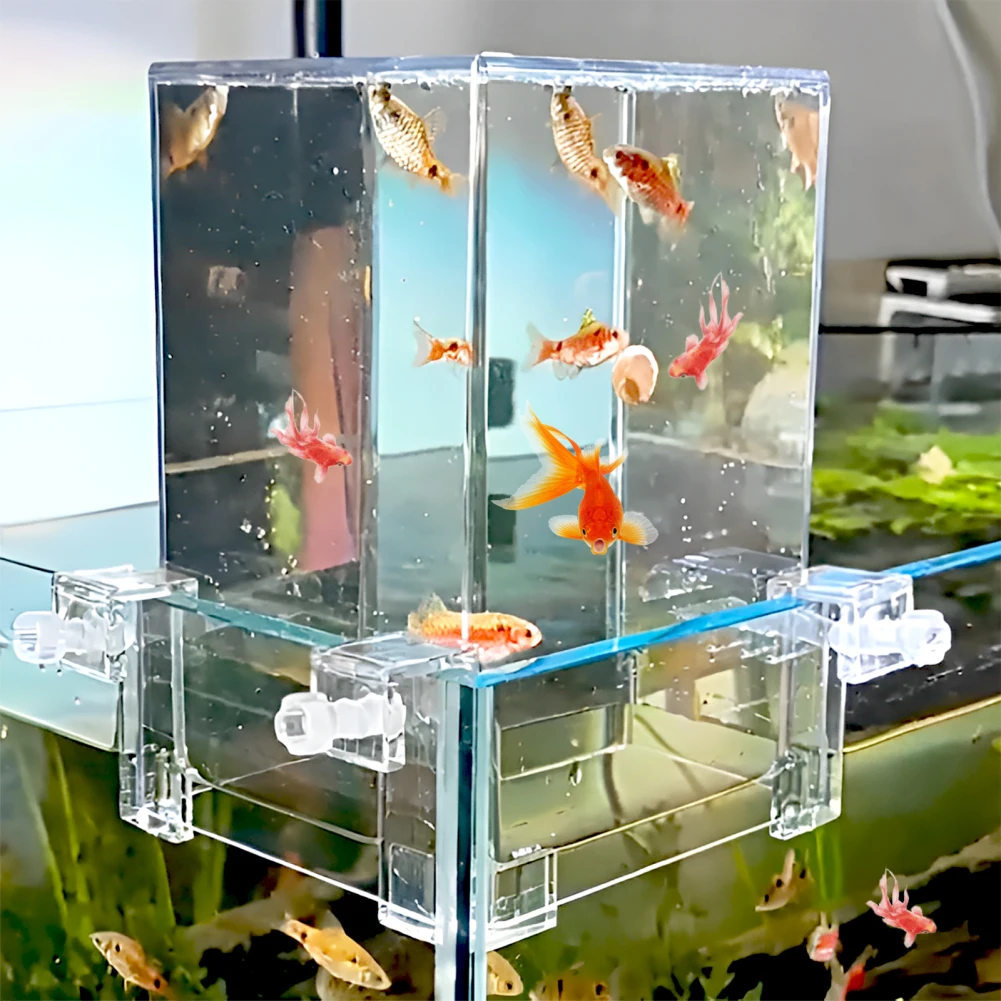 Fish-Elevator-Inverted-Aquarium-Fish-Tower-Fish-Tank-Aquarium ...