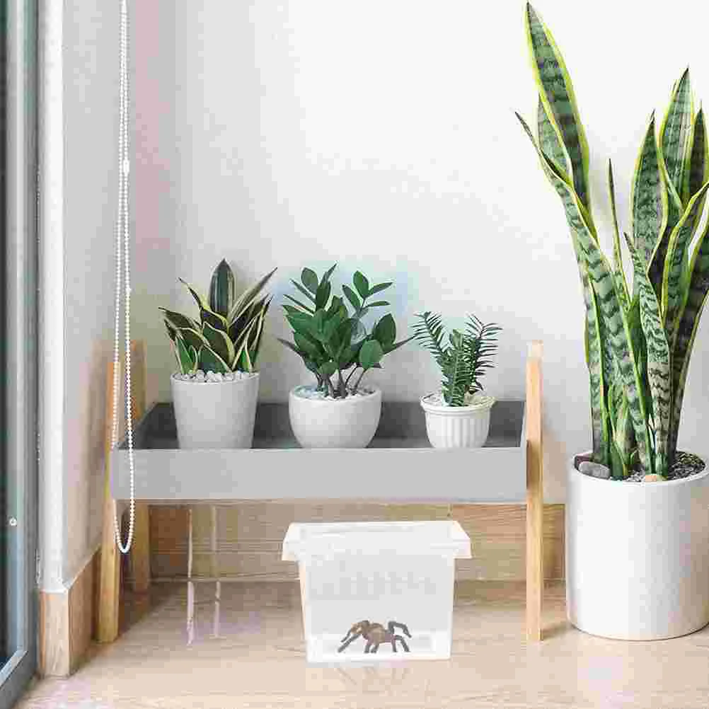 Spider-Terrariums-Jumping-Spider-Enclosure-Small-Transparent-Container ...