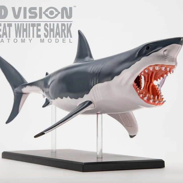 Toy Shark 4d Puzzle