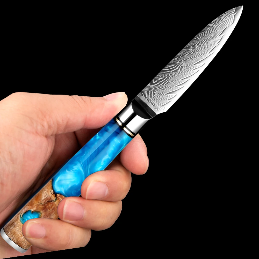 Paring-Knife-3-5-Inch-Damascus-Fruit-knife-Ultra-Sharp-Utility-Knife ...