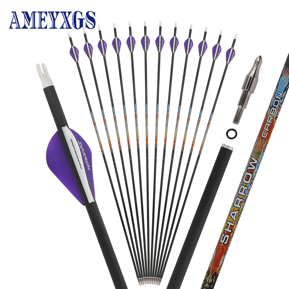 12pcs-Archery-Pure-Carbon-Arrow-32-6inch-Practice-Hunting-Arrows-ID-6 ...