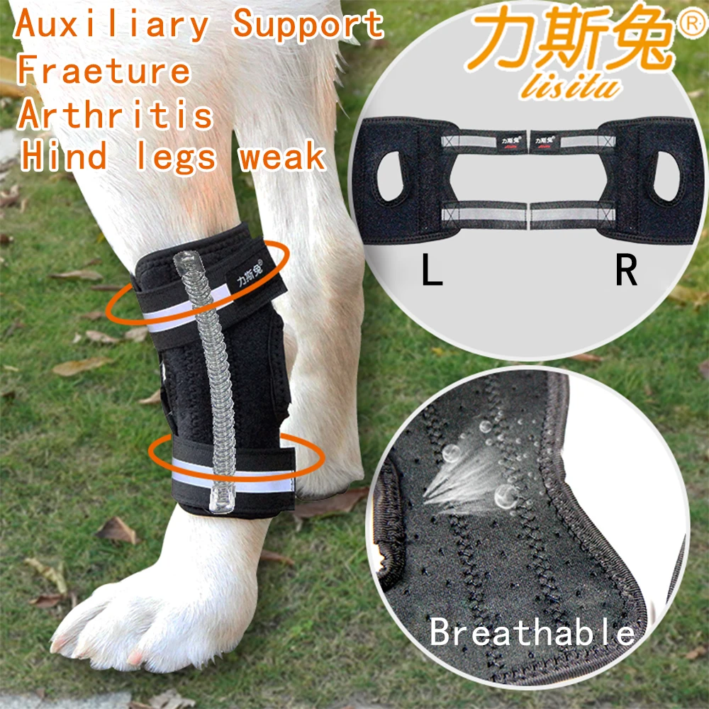 Dog-Cat-Leg-Braces-for-Rear-Leg-Hock-Ankle-with-Reflective-Straps-Metal ...