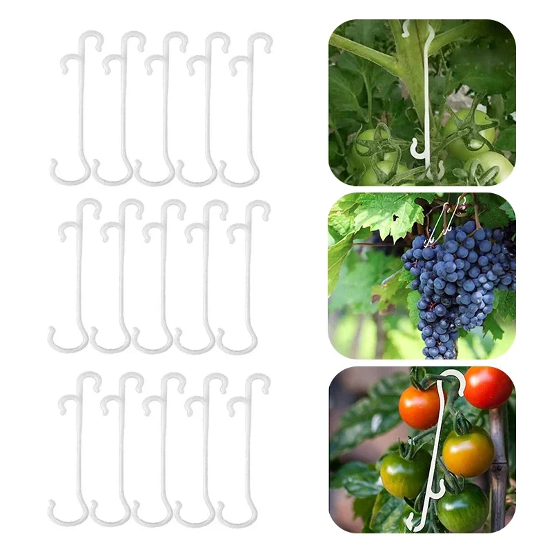 50-100Pcs-Tomato-Support-J-Hooks-Plant-Support-Vegetable-Clips-Prevent-Hanging-Tomatoes-Fruit ...