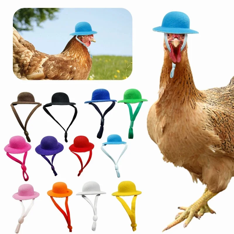 Chicken-Hat-For-Hens-Tiny-Pets-Funny-Chicken-Accessories-Hen-Top-Hat-For-Rooster-Duck-Parrot.jpg