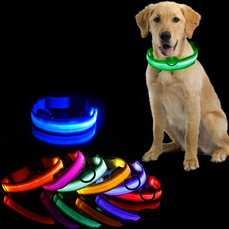 Collar de luz Led antipérdida para perros y cachorros, Accesorio ...