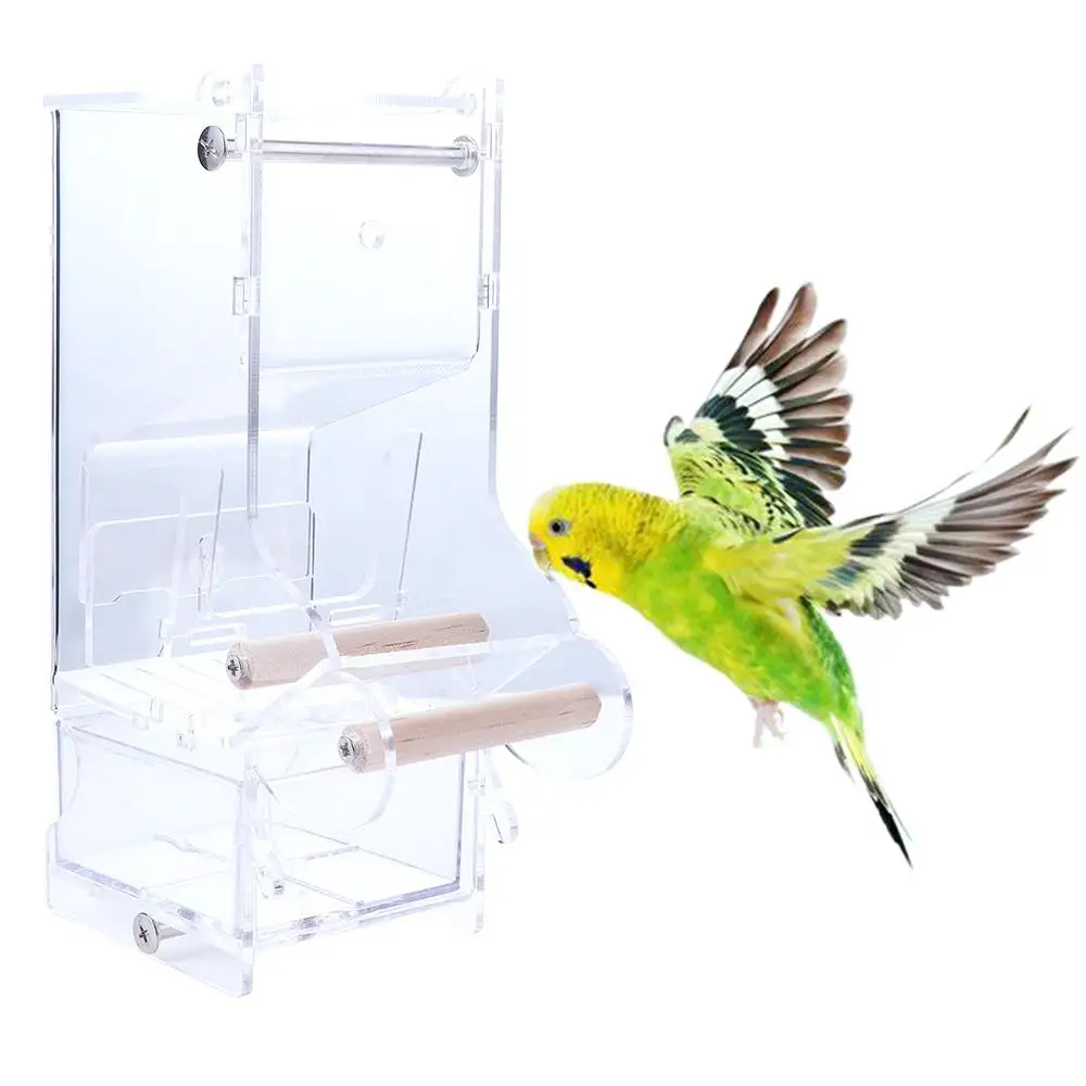 Bird-Feeders-Acrylic-Easy-to-Install-Transparent-Automatic-Parrot-Food ...