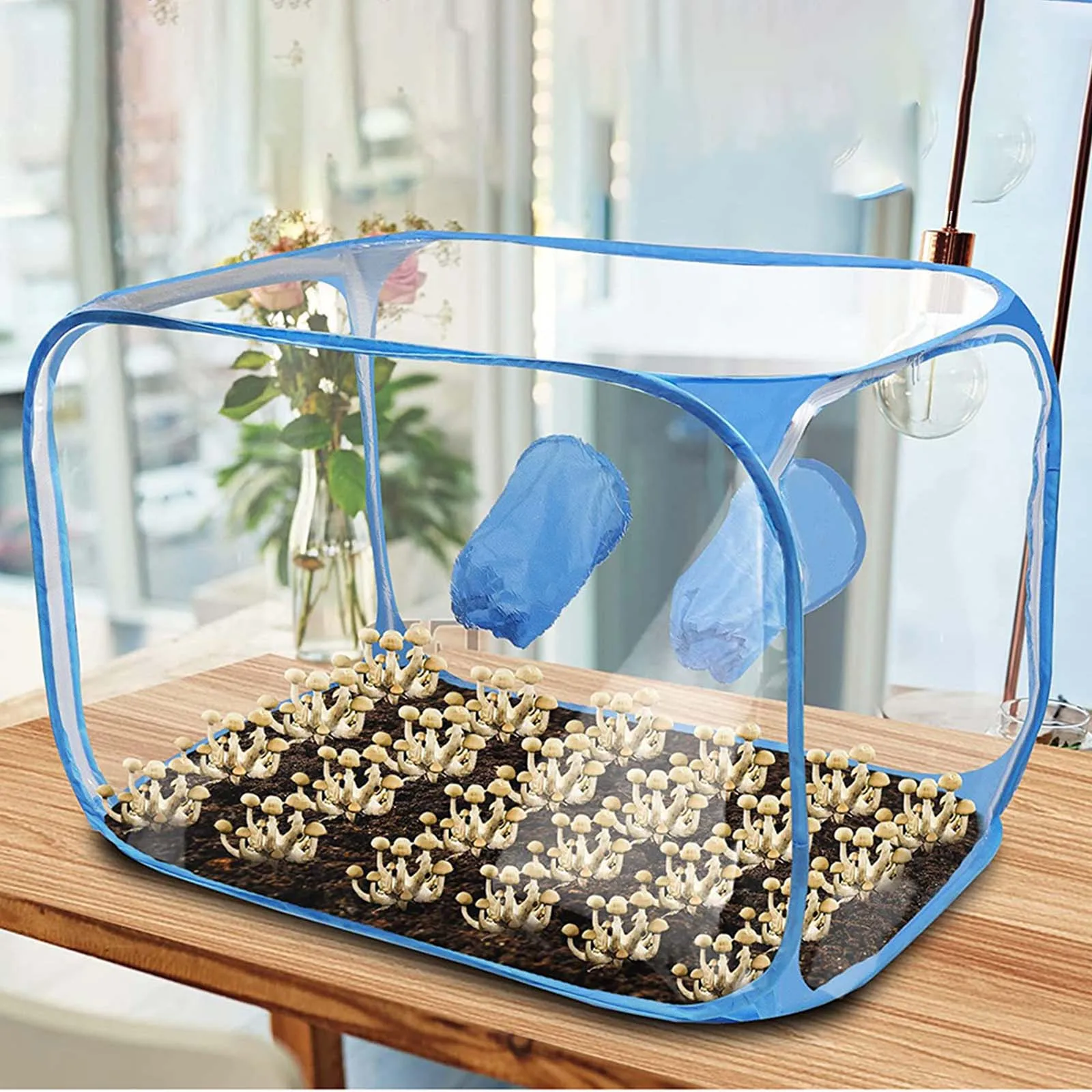 Mini Greenhouse Easy Storage Waterproof Folding Mushrooms Growing Bags ...