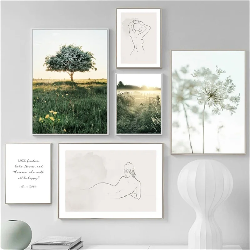 Tumbuhan Embun Matahari