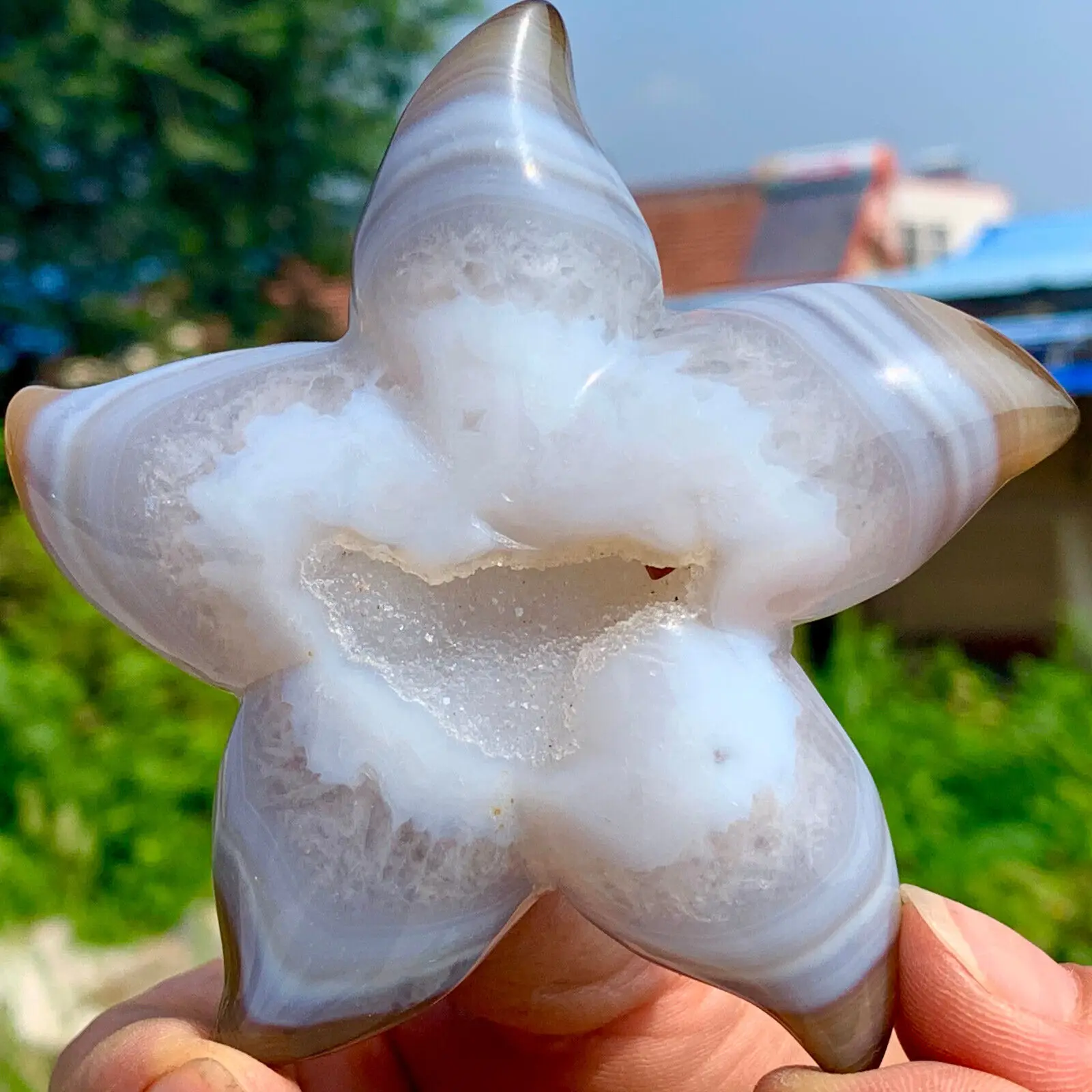 Starfish Crystal | Natural Starfish | Spirit | Stones - Natural Crystal ...