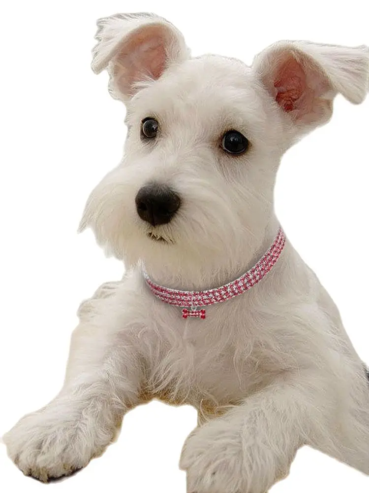 PGY-Small-Dog-Label-Pendant-3-Rows-Rhinestone-Elasticity-Pet-Necklace ...