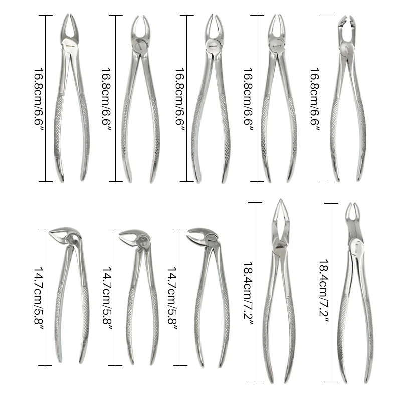 Dental Extraction Tools