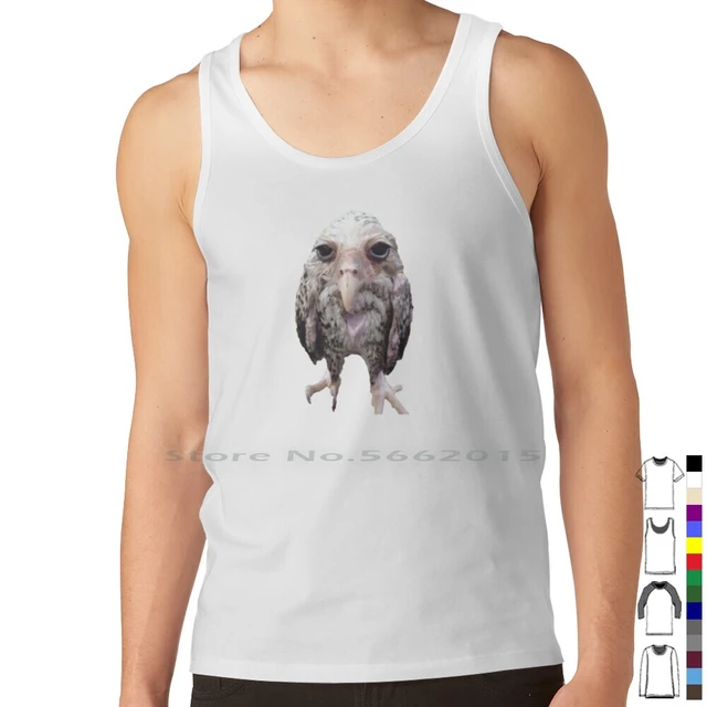 Self Control Owl Meme