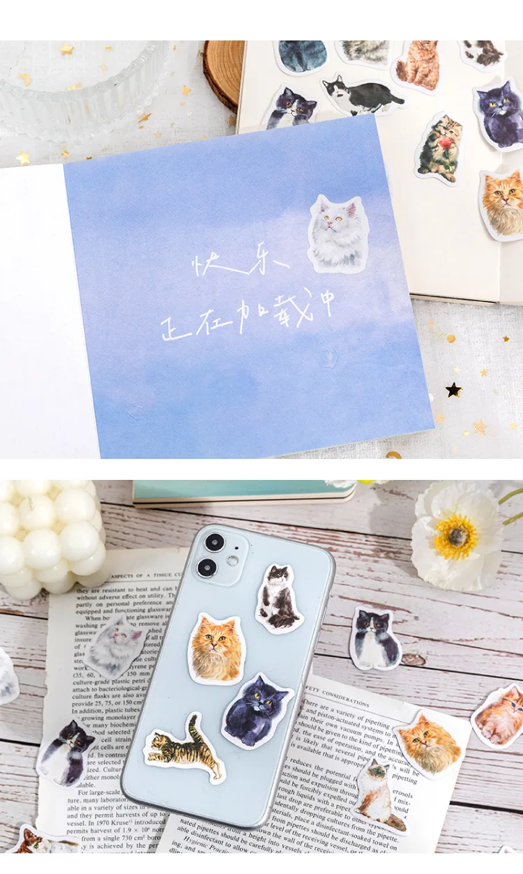 46pcs Cute Cat Diary Decorative Boxed Stickers Kawaii Pets Scrapbooking ...