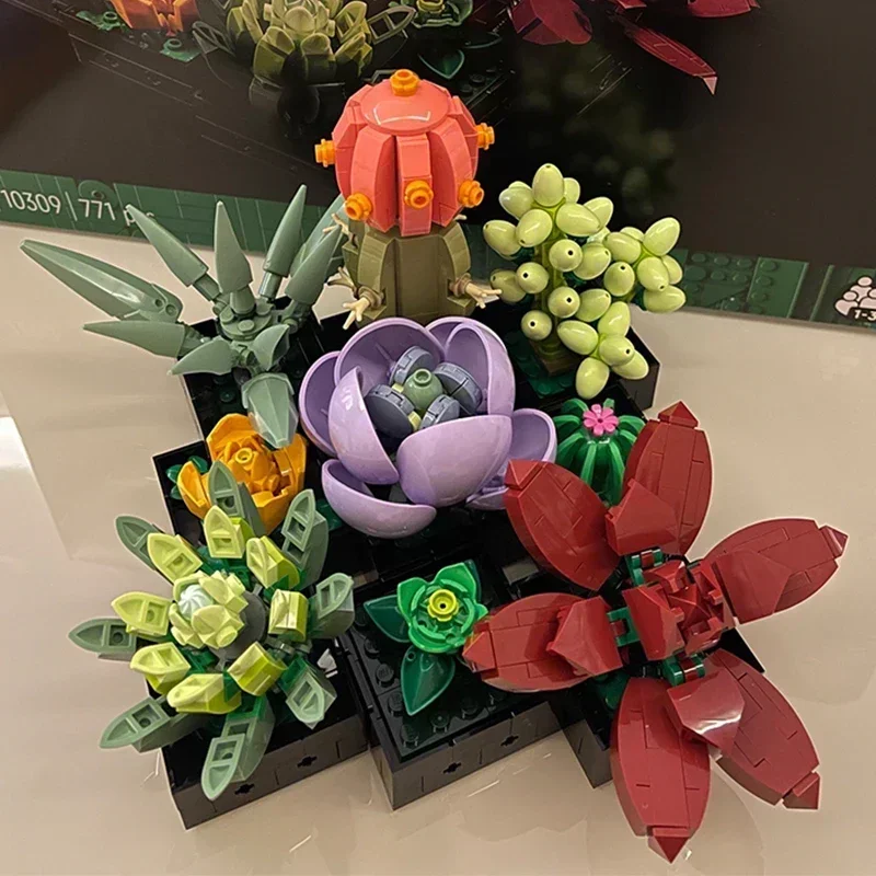 Suculentas-Bouquets-Building-Blocks-Cole-o-Bot-nica-Bonsai-Home-Decor ...