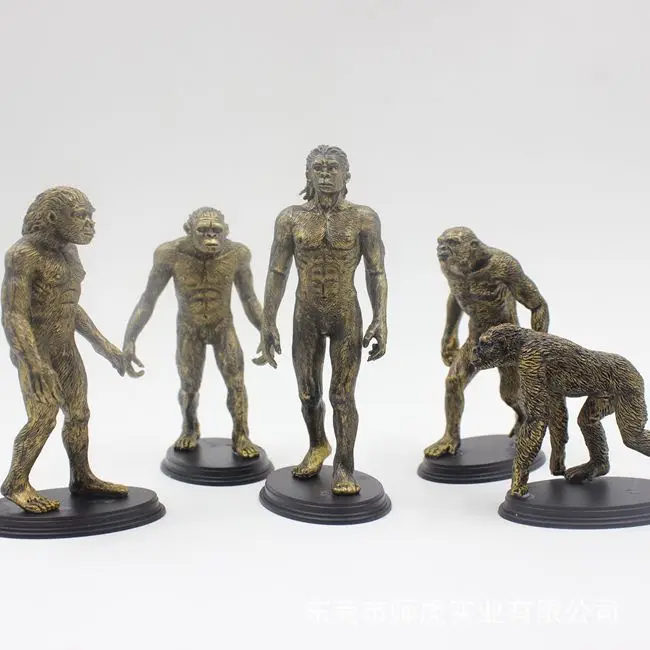 Teaching-Aids-Human-origin-evolutionary-history-primitive-man ...