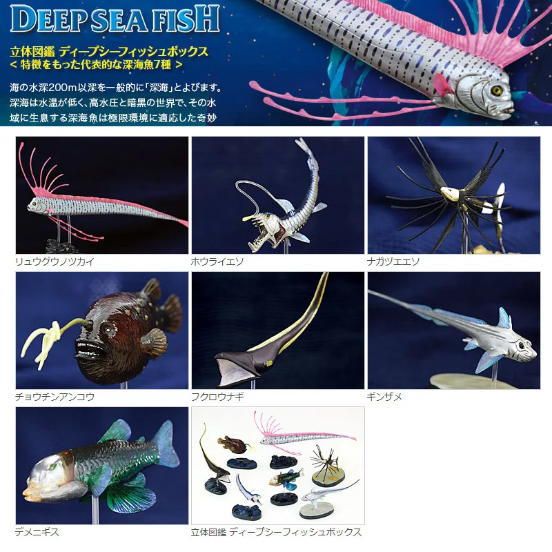 Oarfish Eggs