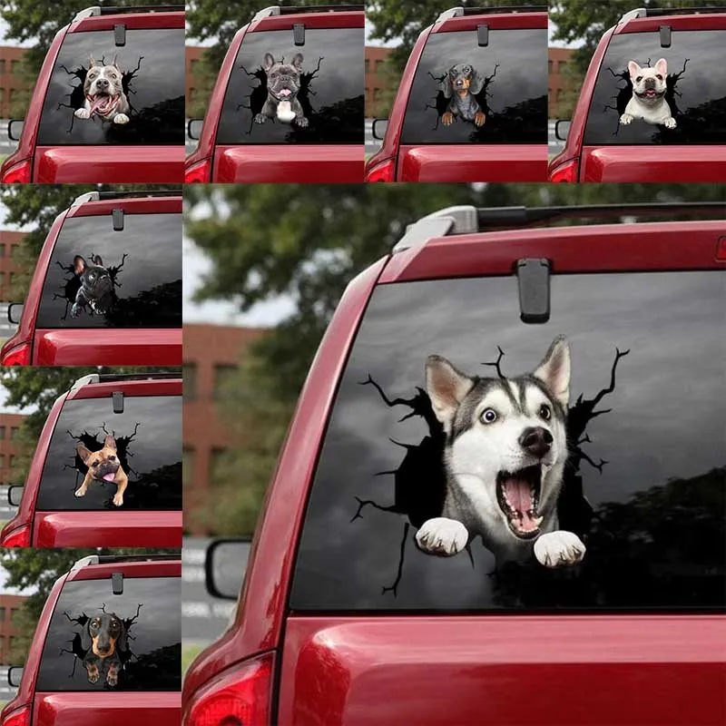 Funny Dog Windshield Stickers On Car Glass Camping Auto Decals Vehicle ...
