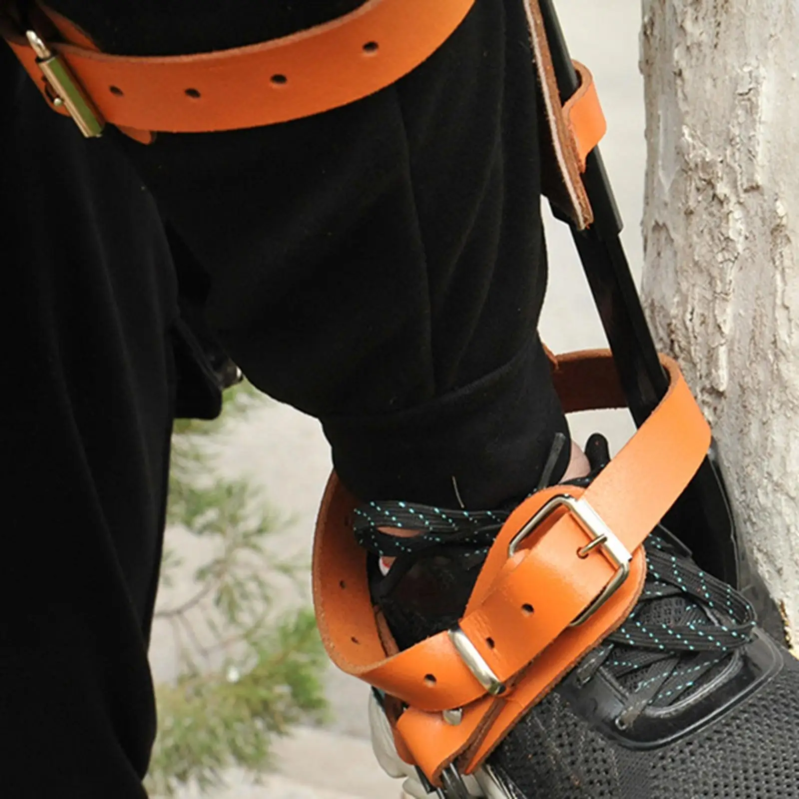 Tree-Climbing-Spike-with-Gloves-Straps-Tree-Climbing-Equipment-Tree ...