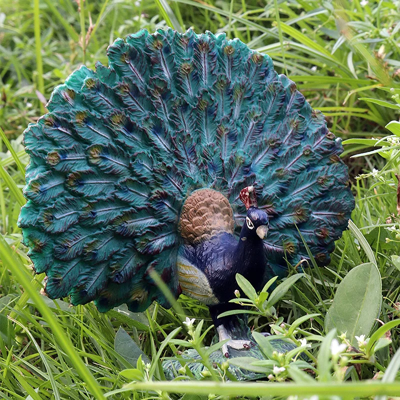 Turkey Peacock Hybrid