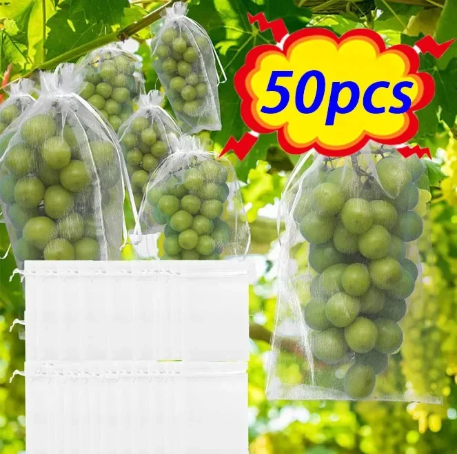 1/5/50/100Pcs Grapes Fruit Protection Bags Pest Control Anti-Bird ...