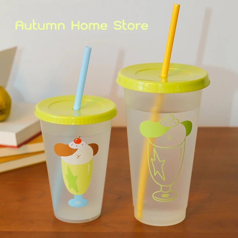 Summer-Plastic-700ml-Cup-Straw-Cup-Coffee-Milk-Tea-Water-Cup-Portable ...
