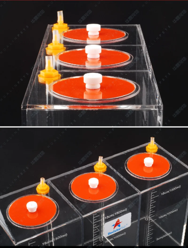 Red Starfish Acrylic Dosing Pump Scale Liquid Storage Bucket With Scale ...