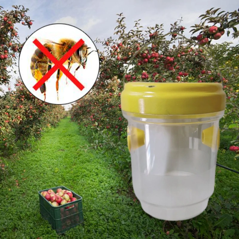 Fruit-Fly-Trap-Killer-Yellow-Plastic-Drosophila-Trap-Anti-Fly-Fruit-Fly-Killer-Catcher-Orchard ...