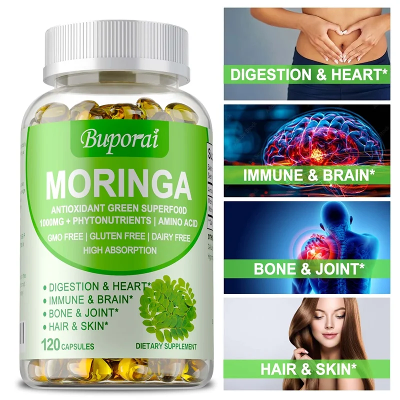 Moringa - Boost Immune System, Support Bone Health, Promotes Digestive ...