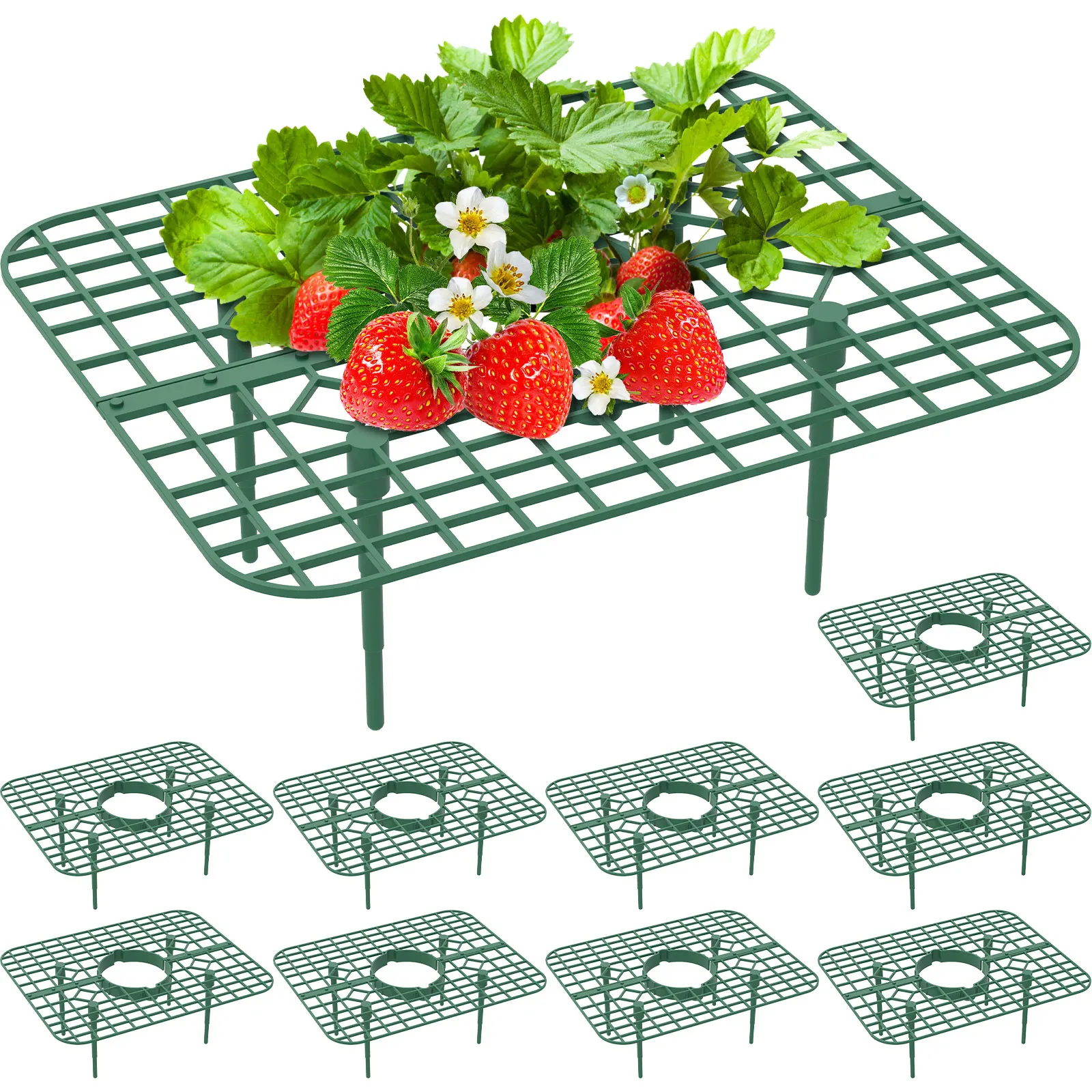 Strawberry-planting-stand-rectangular-plant-support-grid-garden ...