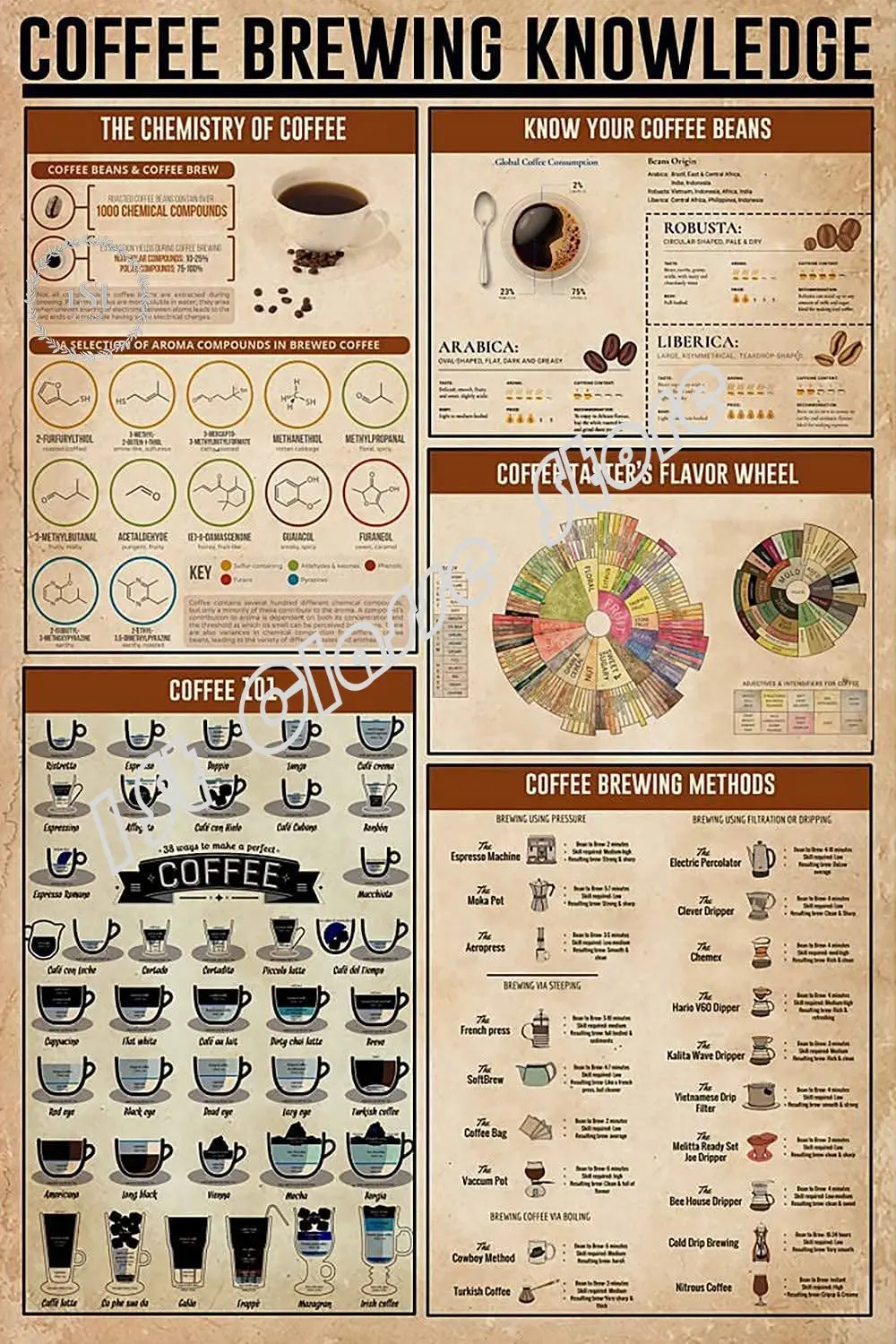 Coffee Infographic Poster