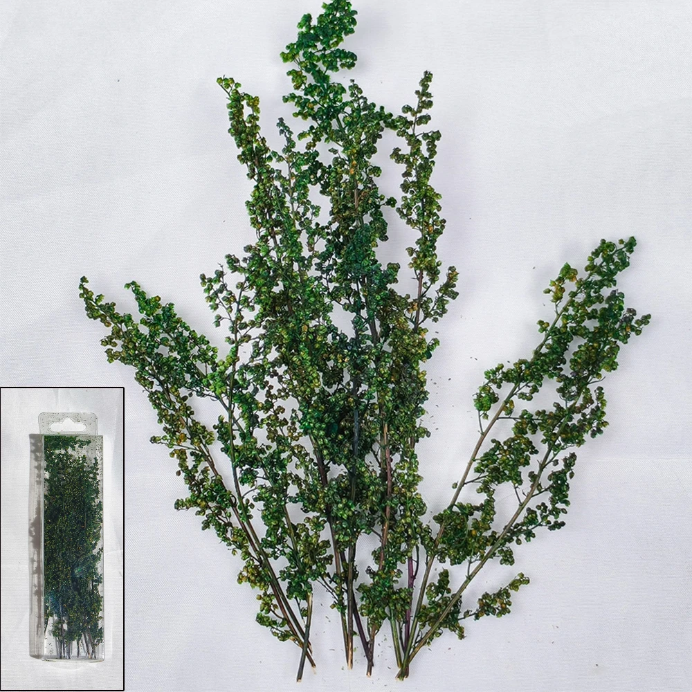 Realistic Miniature Shrubs Model Bushes Long Shrub Vegetation Groups ...