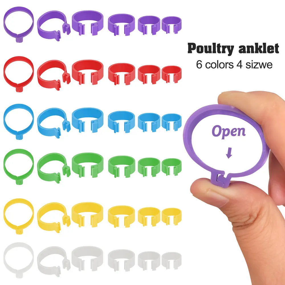 60PCS-6-Colors-Poultry-Mark-Identification-Anklet-16-18-20-25mm-Letter ...