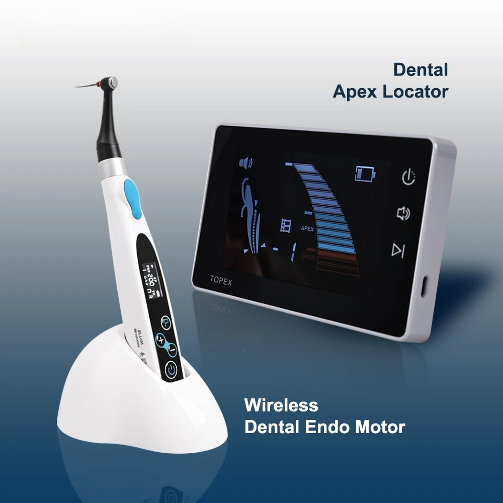 Root Access in Endodontics: A Comprehensive Guide to Root Canal Therapy