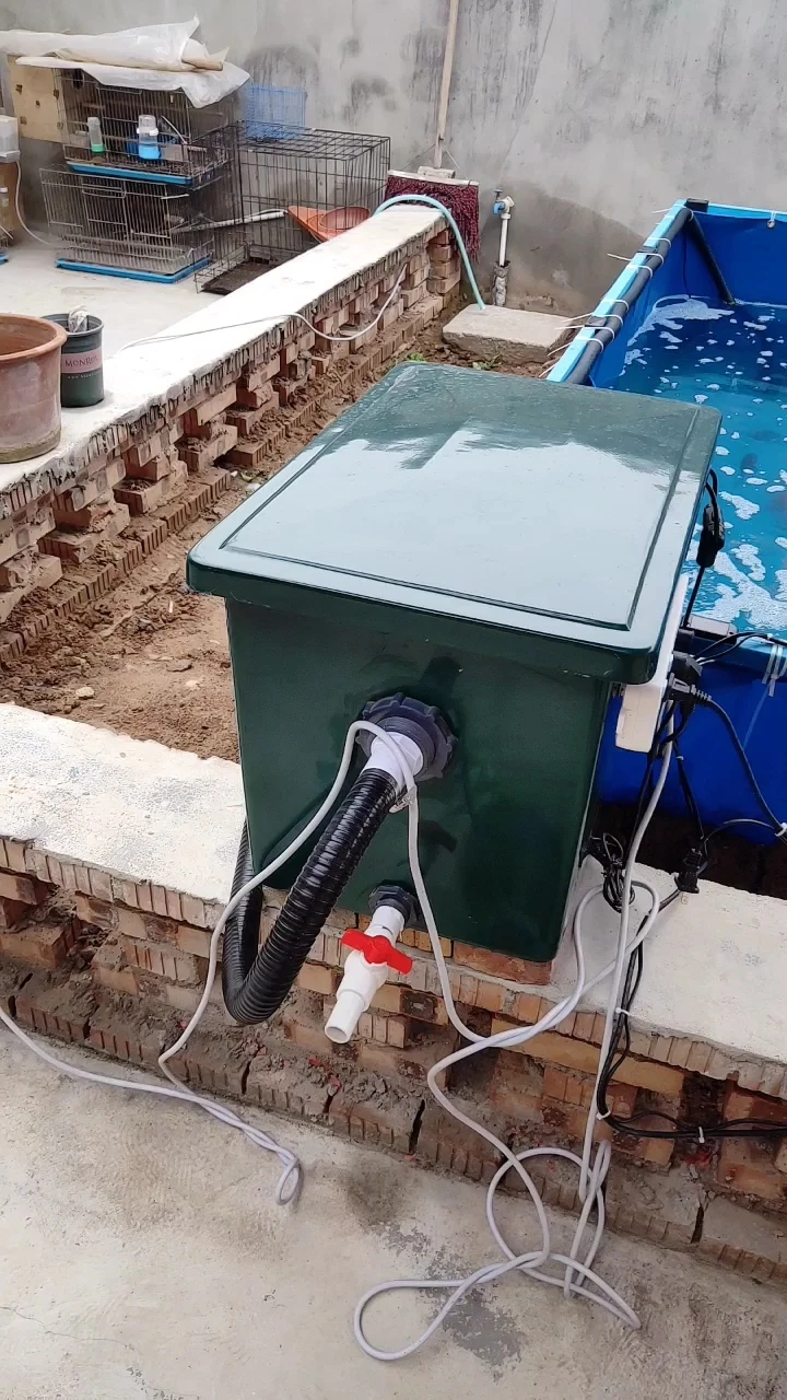 Koi Pond Sand Filter