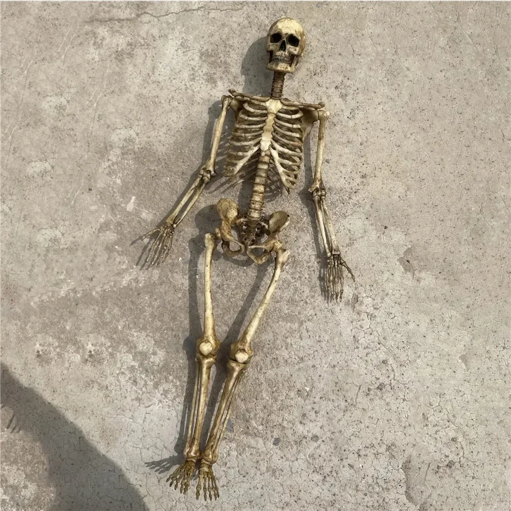 1:12 High Quality Skeleton Miniatures Figurines Skull Miniature Model ...