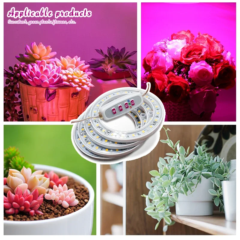 LED Ring Grow Lights – Garden Essentials Hub