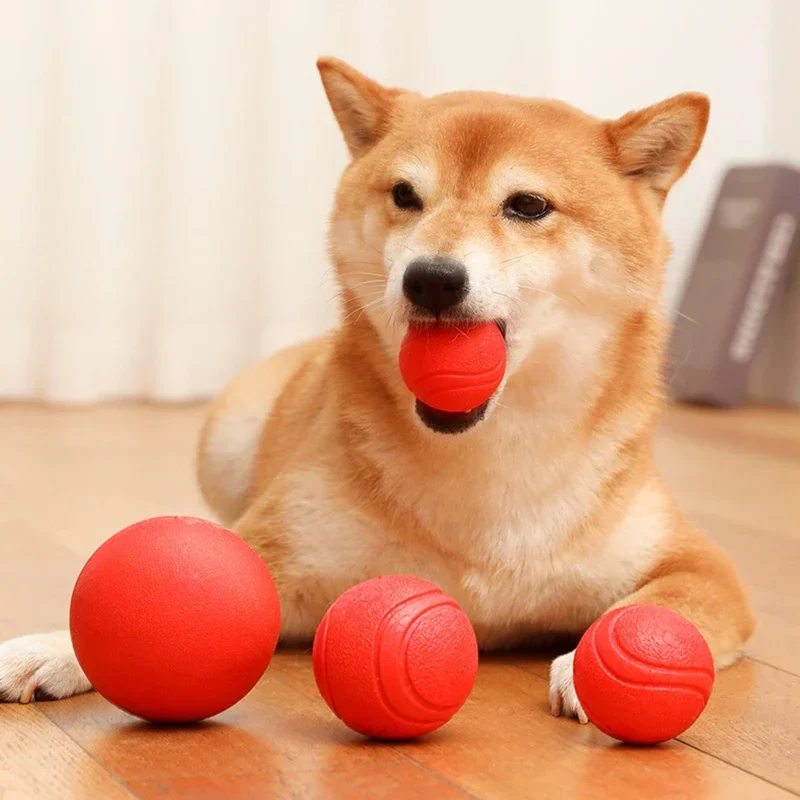 Durable Bouncy Dog Toy for Pets Chew Proof Rubber Ball S to L Size ...